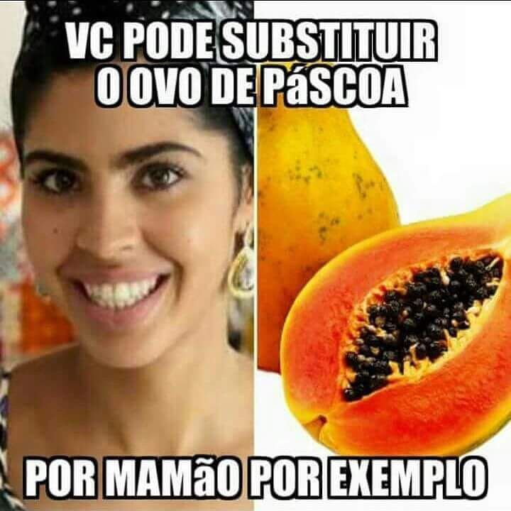 A cultura dos memes no Brasil|Universidade Federal Fluminense